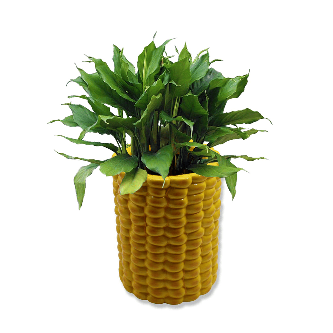 Worlds Largest Corn Planter