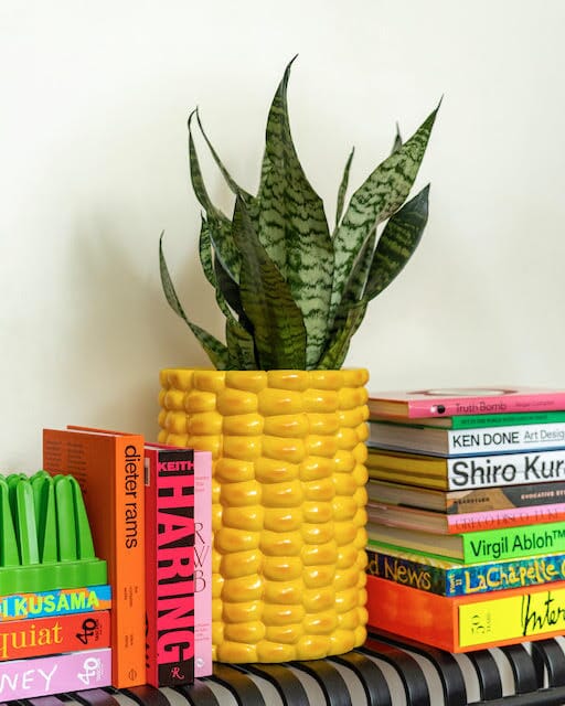 Worlds Largest Corn Planter